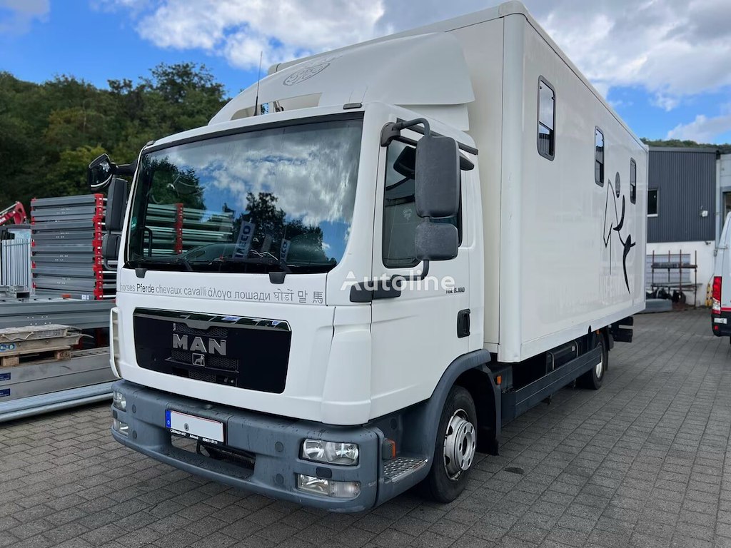 MAN TGL 8.180 - Horse transporter kamion za prevoz konja