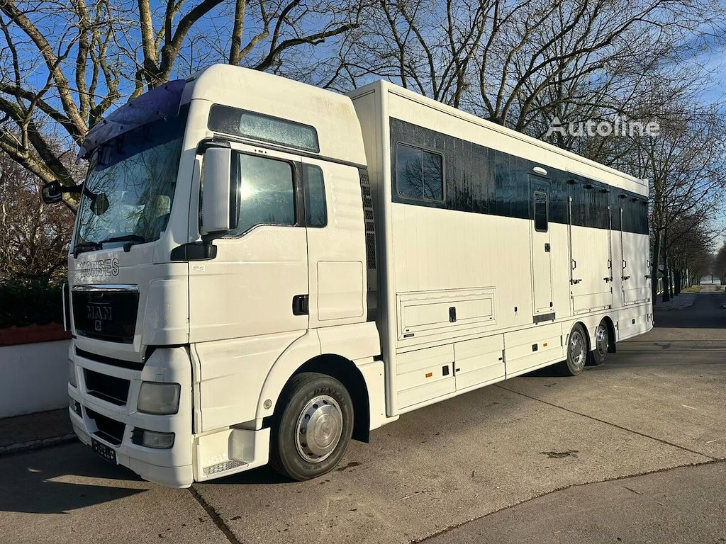 MAN TGX 26.440 - Horse transporter kamion za prevoz konja