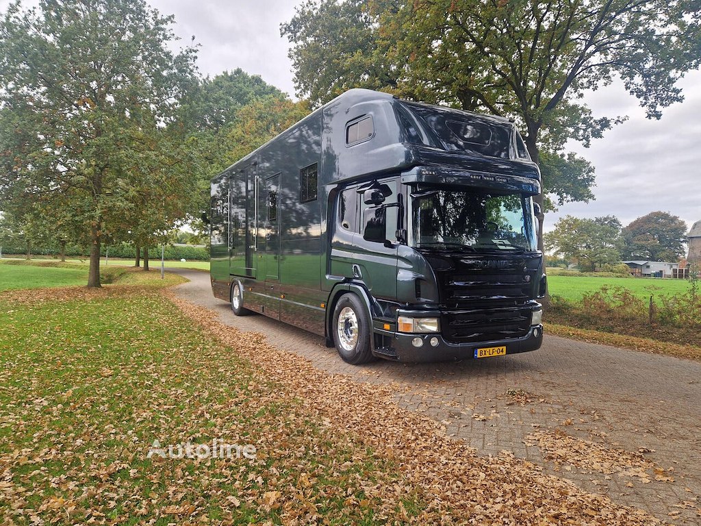 Scania P380 kamion za prevoz konja