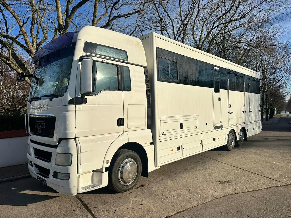 MAN TGX 26.440 - Horse transporter kamion za prevoz konja