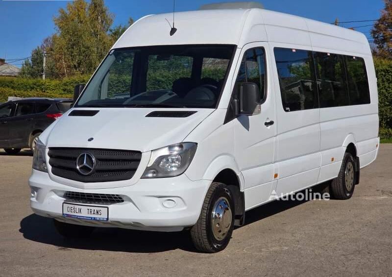 Mercedes-Benz Sprinter 516 CDI XL putnički minibus