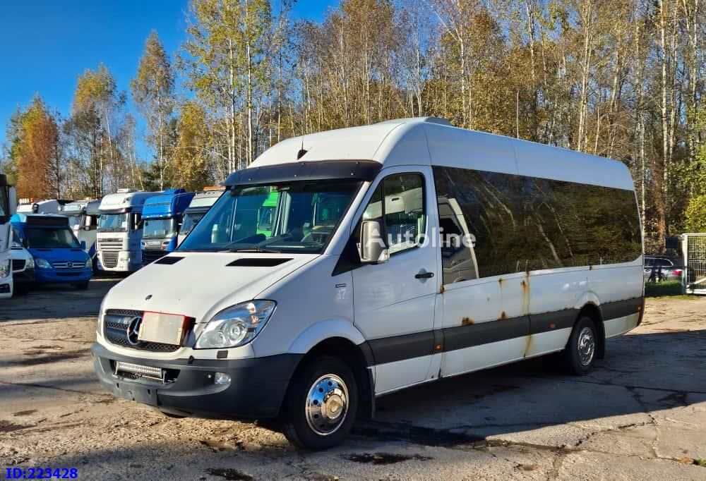 Mercedes-Benz Sprinter 516 putnički minibus