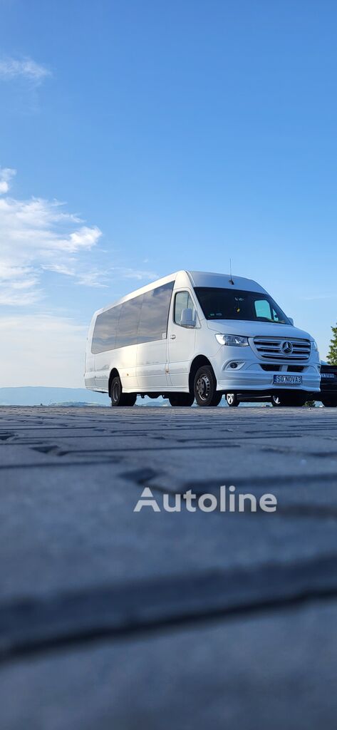 Mercedes-Benz Sprinter 519 putnički minibus