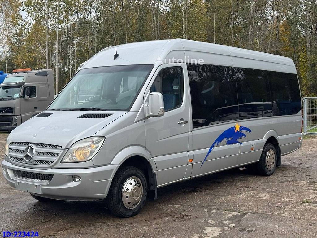 Mercedes-Benz Sprinter 516 putnički minibus
