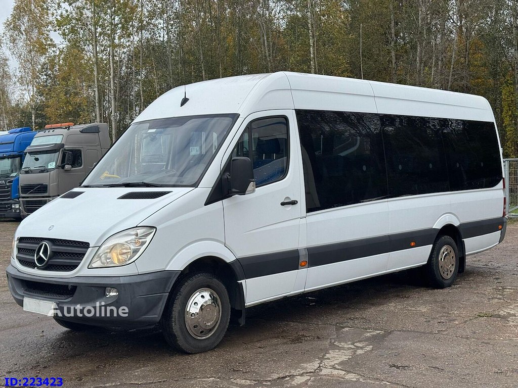 Mercedes-Benz Sprinter 516 putnički minibus