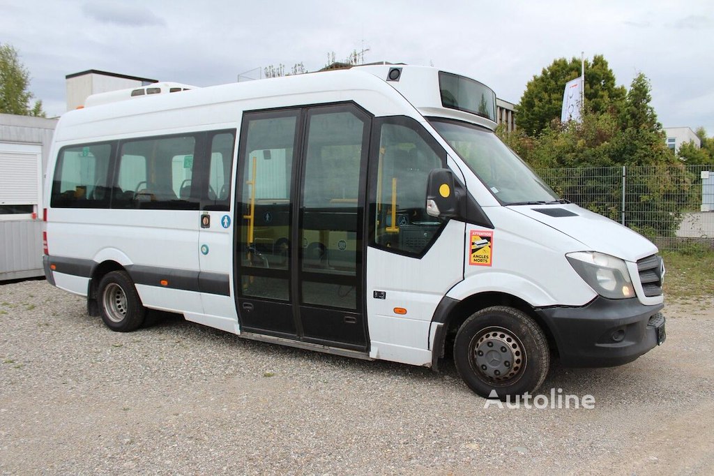 Mercedes-Benz Sprinter 516 CDI / 2 x Bus putnički minibus