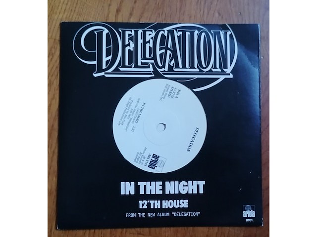 DELEGATION - IN THE NIGHT/12TH HOUSE
