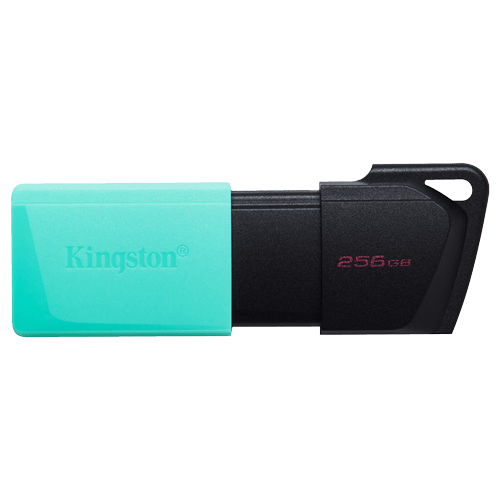 USB memorija KINGSTON DataTraveler Exodia M 256GB