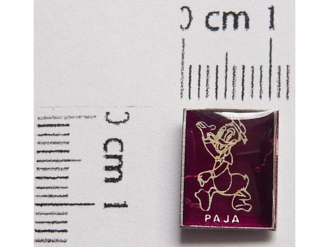 Paja Patak