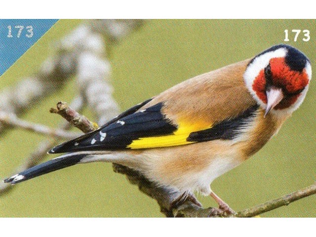 Životinjsko carstvo 173 (2016)