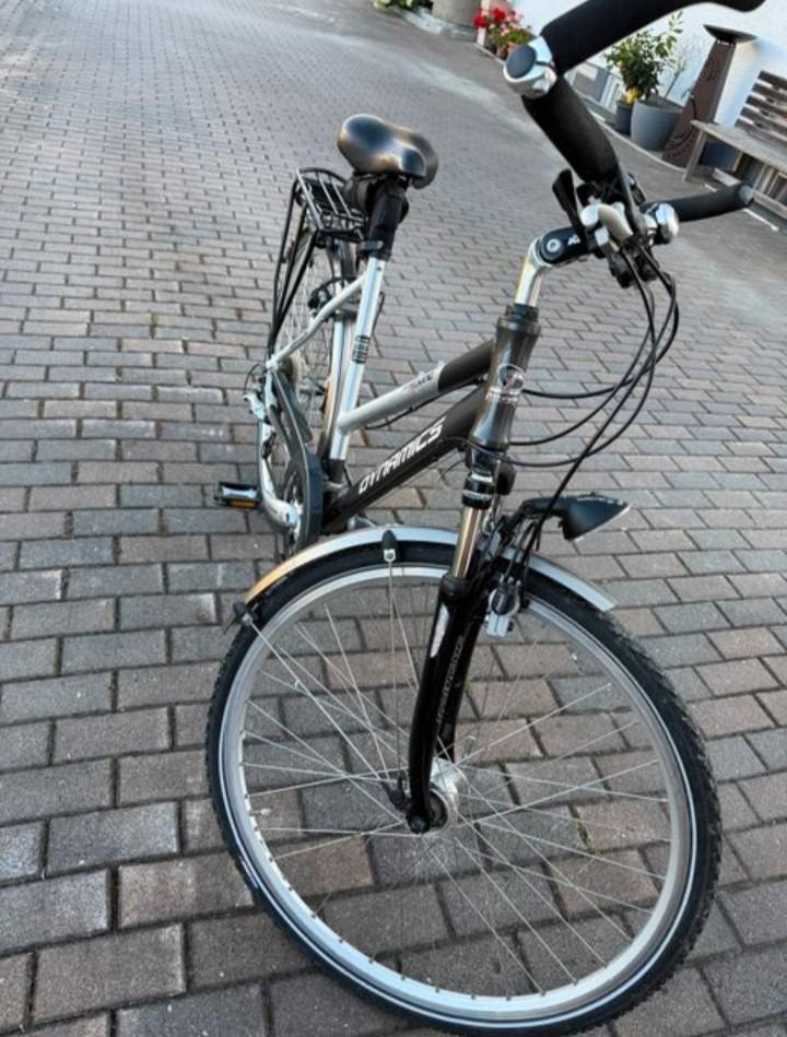 KTM Dinamics Street King