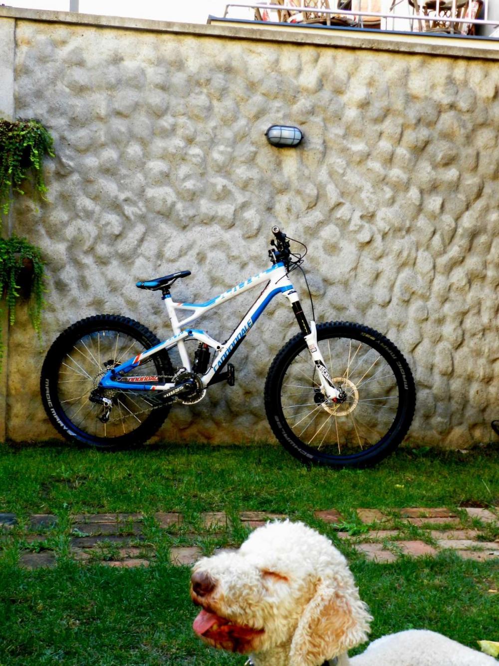 CANNONDALE JEKYLL 4 2016 MULLET