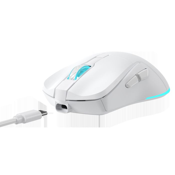 Baracuda BGM 122 TURTLE Wireless Mouse White
