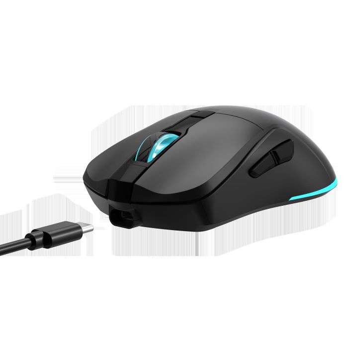 Baracuda BGM 121 TURTLE Wireless Mouse Black