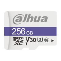 256 GB Dahua DHI-TF-C100/256GB