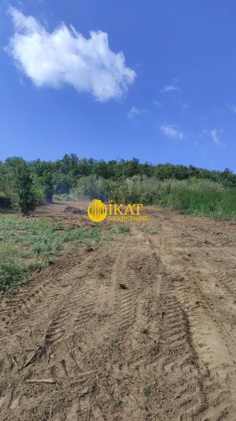 Mladenovac, Koraćica, izuzetan plac 9,91 ari ID#4685 11.000 €