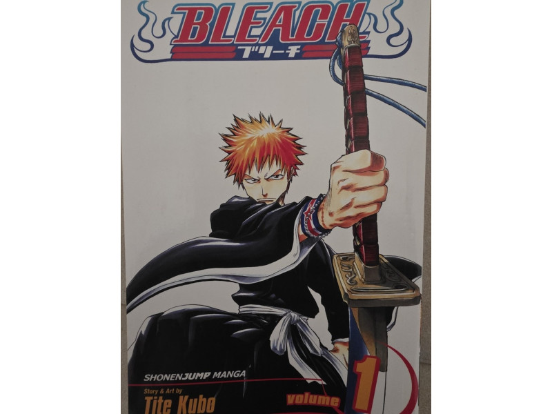 Bleach volume 1 Manga
