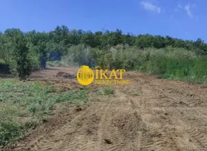 Prodaja Građevinsko zemljište - Beograd, Mladenovac: Koraćica - Amerić - Vlaška