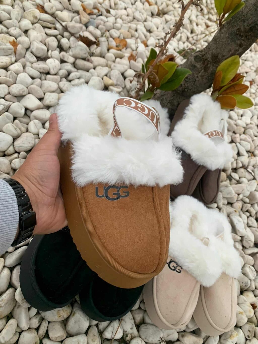 Ugg obuća 41