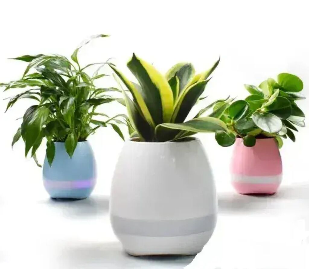 *** AKCIJA *** #2290 SAKSIJA Bluetoth zvučnik Smart Music Flowerpot –