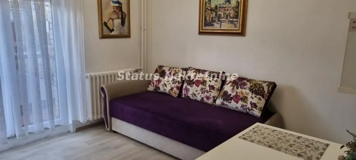 Izdavanje, garsonjera, 25m2, Centar, Novi Sad