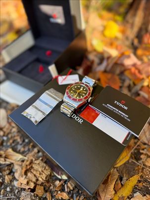 Tudor Black Bay 41mm - Burgundy Red