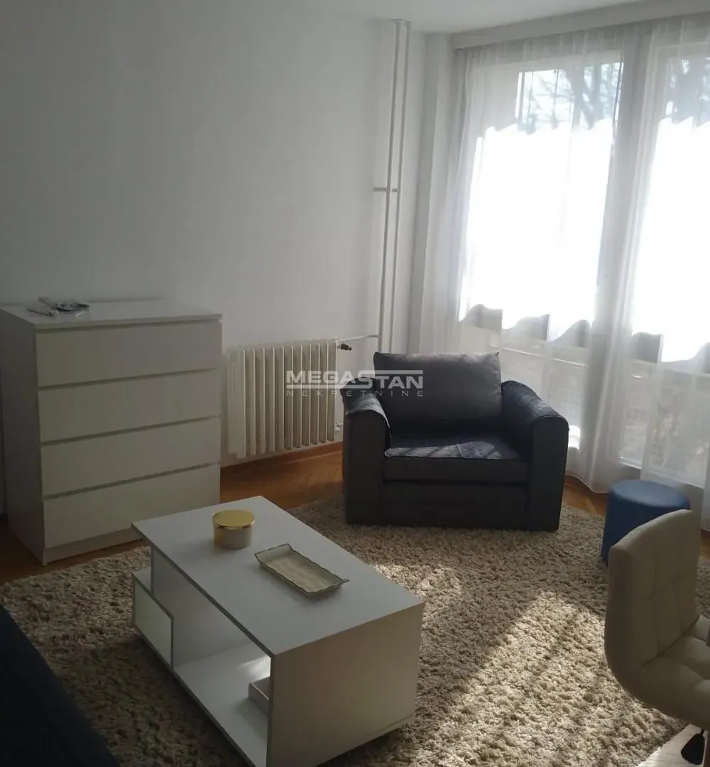 Izdavanje, stan, 25m2, Šumice, Beograd