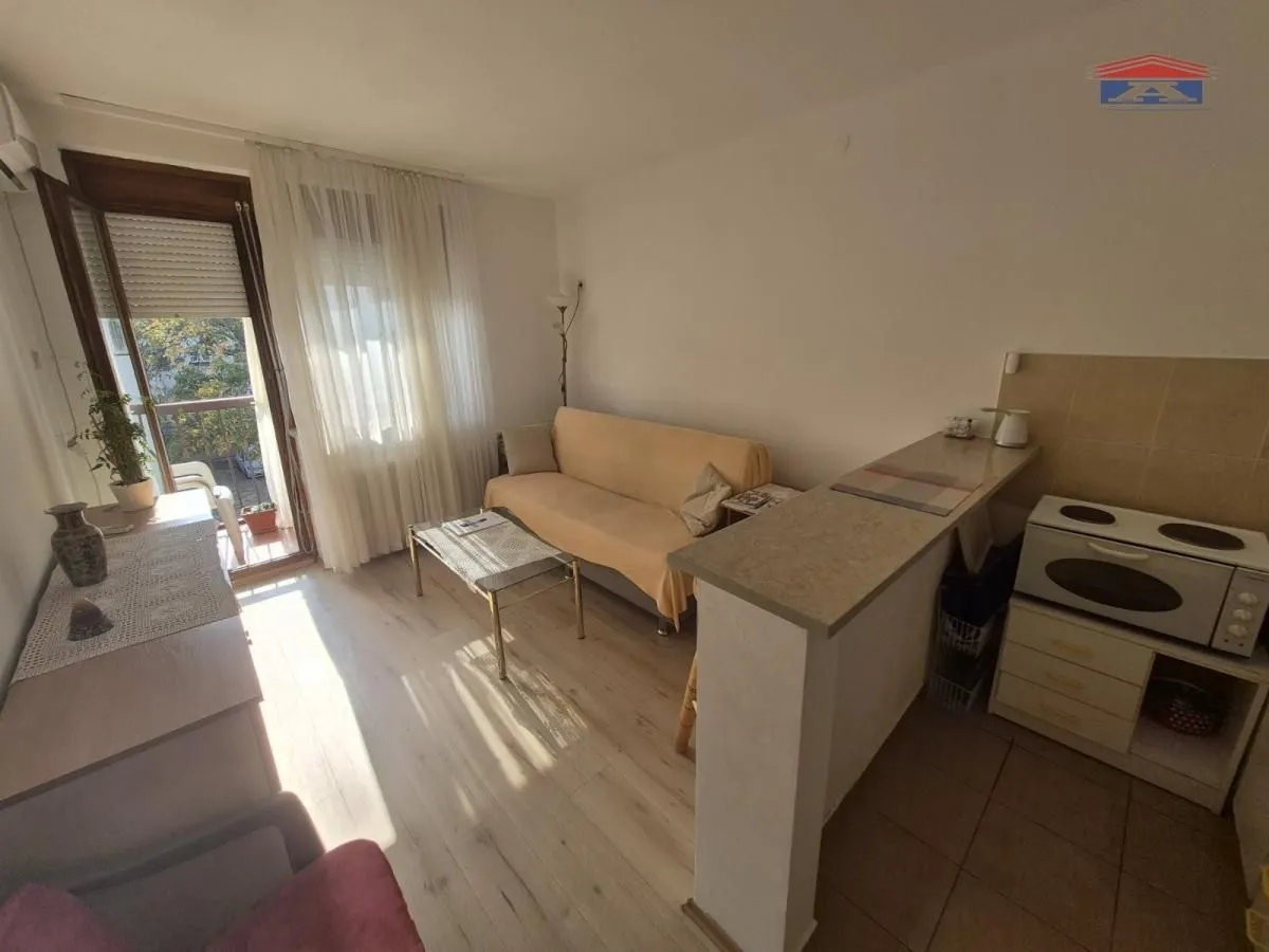 Izdavanje, garsonjera, 23m2, Nova Detelinara, Novi Sad, Novi Sad
