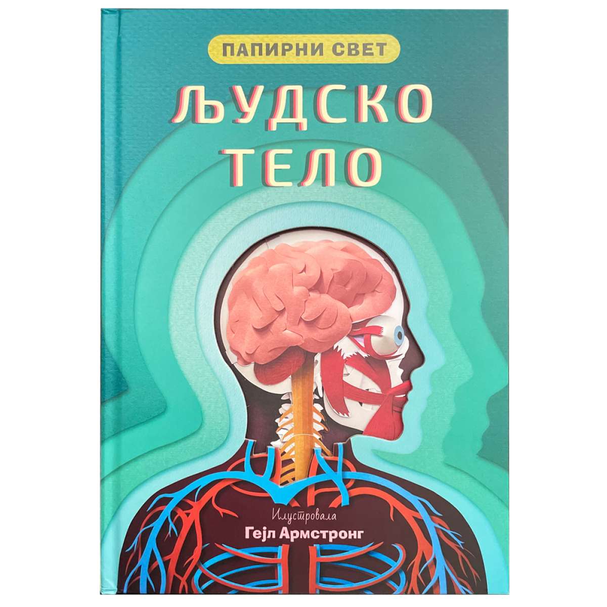 ПАПИРНИ СВЕТ: ЉУДСКО ТЕЛО