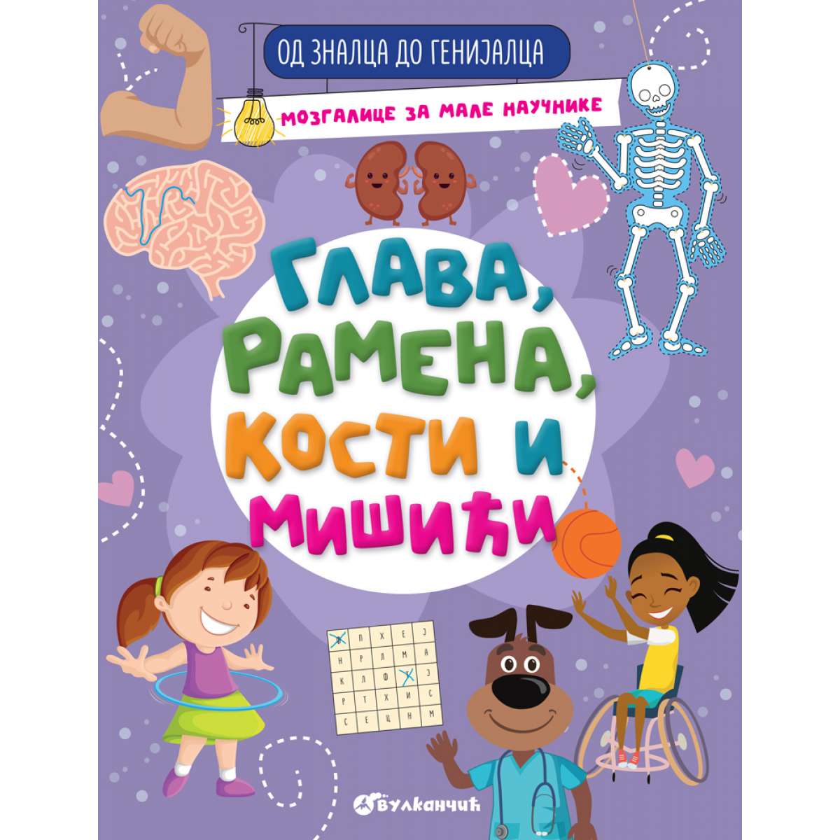 ОД ЗНАЛЦА ДО ГЕНИЈАЛЦА: ГЛАВА, РАМЕНА, КОСТИ И МИШИЋИ