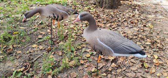 Mamci, lokeri divlja guska