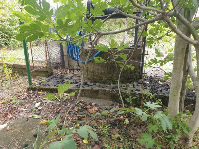 Kuća 104m2 na 294m2 placa, Donje Vlase