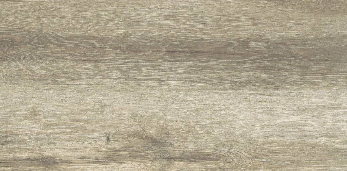 Forest Birch 30x60cm