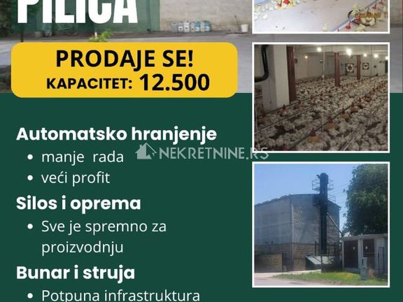 PRODAJE SE! Farma pilića u Starom Bečeju - Odmah spremna za rad!
