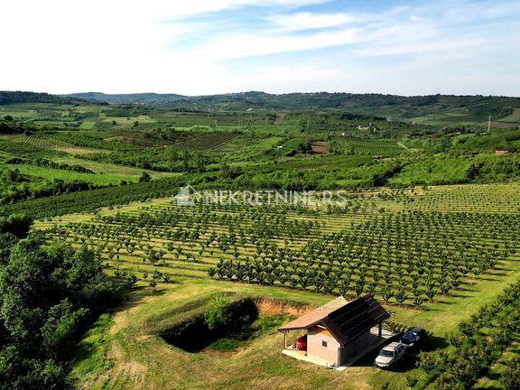 Imanje za uživanje sa voćnjakom, u lovištu, 30 min od BG