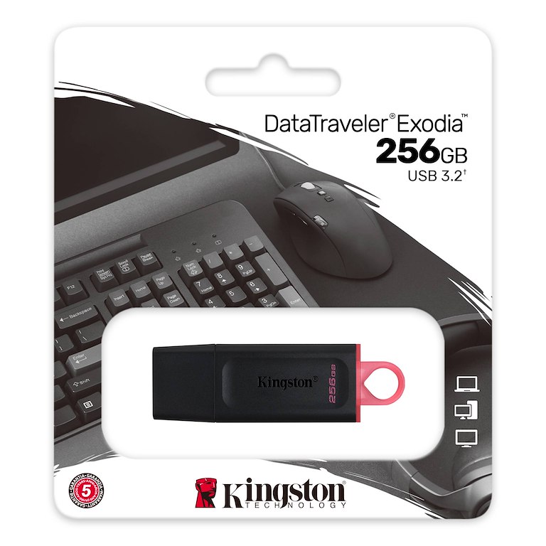 USB FD 256GB Kingston DTX/256GB