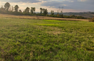 Prodajem Poljoprivredno Zemljište, Vranić, Beograd Grad