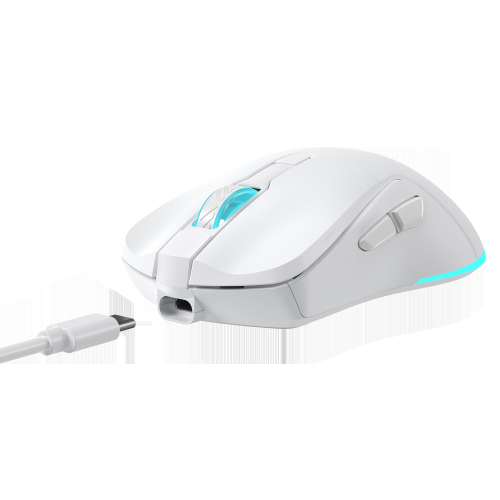 Baracuda BGM 122 TURTLE Wireless Mouse White