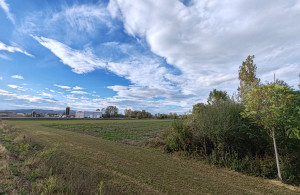 Prodajem Poljoprivredno Zemljište, Loznica
