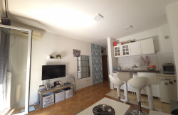 Stan,NOVI SAD,NOVA DETELINARA,kv: 25, € 89000, ID: 1019264