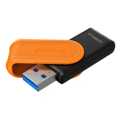 Kingston 3.2 Gen1 DTXS/256GB USB Flash Drive