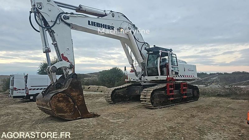 Prodaje se Liebherr R974C bager guseničar na aukciji