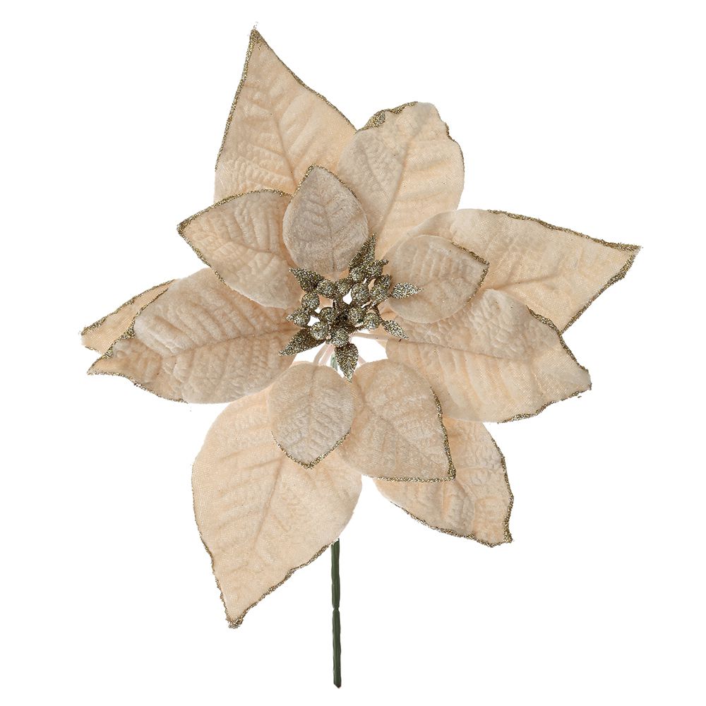 NG cvet CREAM VELVET POINSETIA PICK 25cm 79082 - ILD