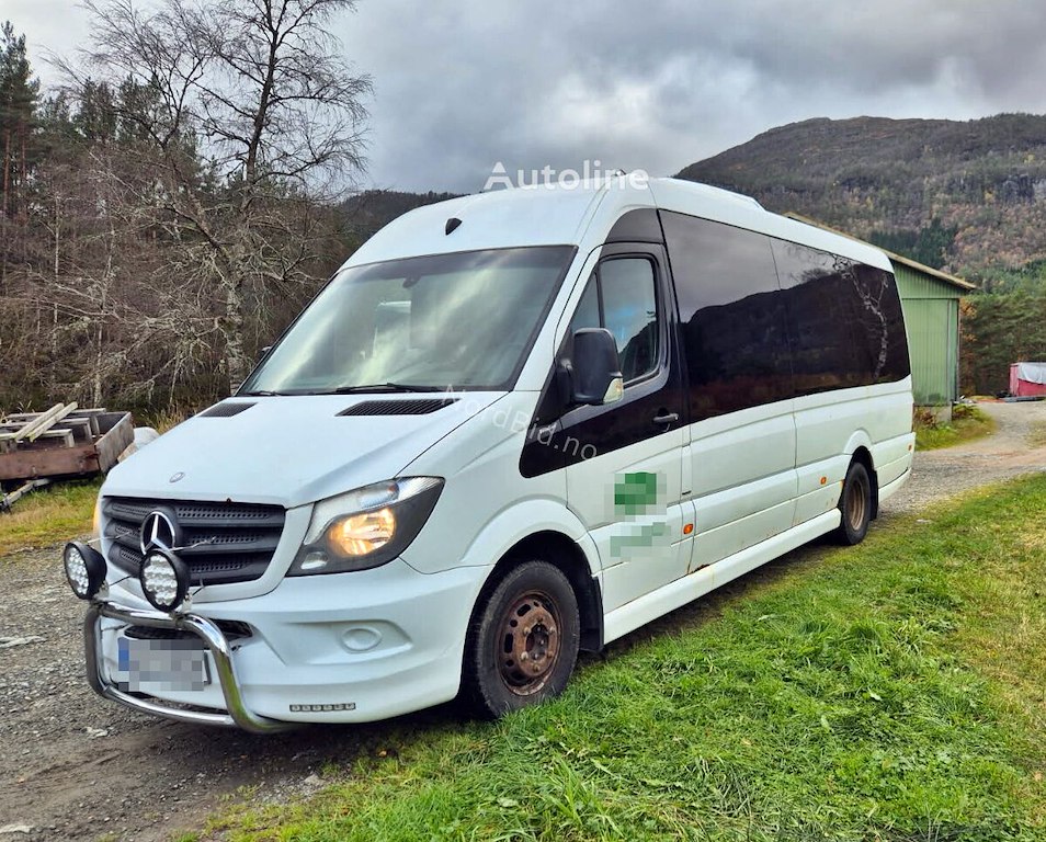 Mercedes-Benz SPRINTER 519cdi XL *16+1 *ALTAS *VIP *VIDEO putnički minibus