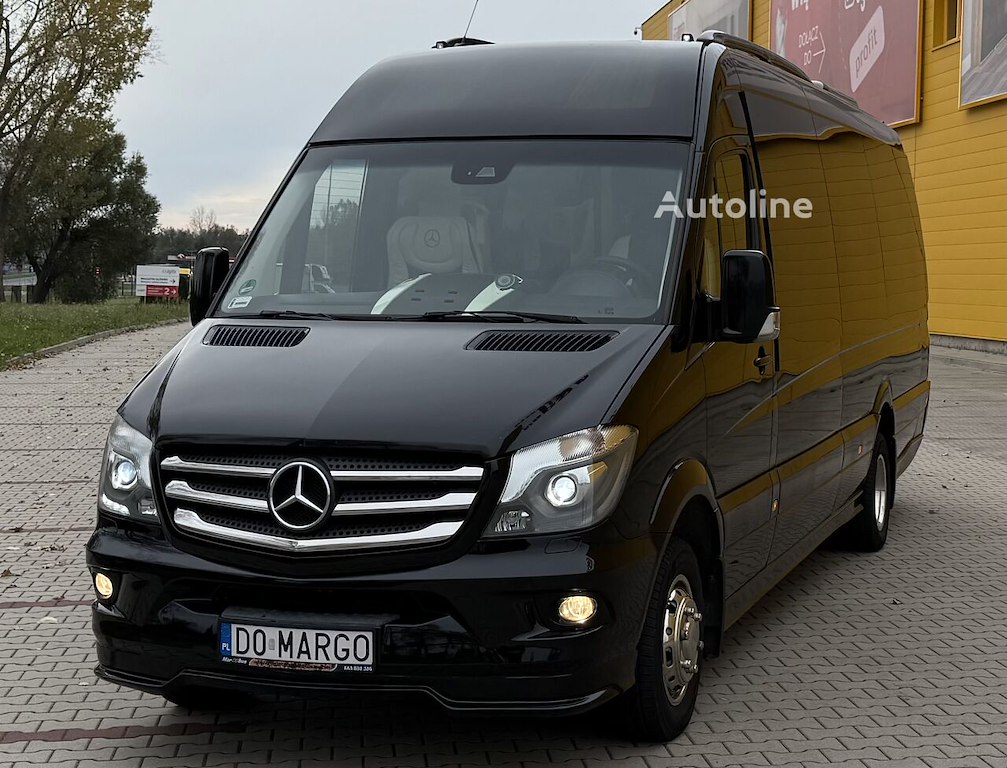 Mercedes-Benz Sprinter 519 putnički minibus