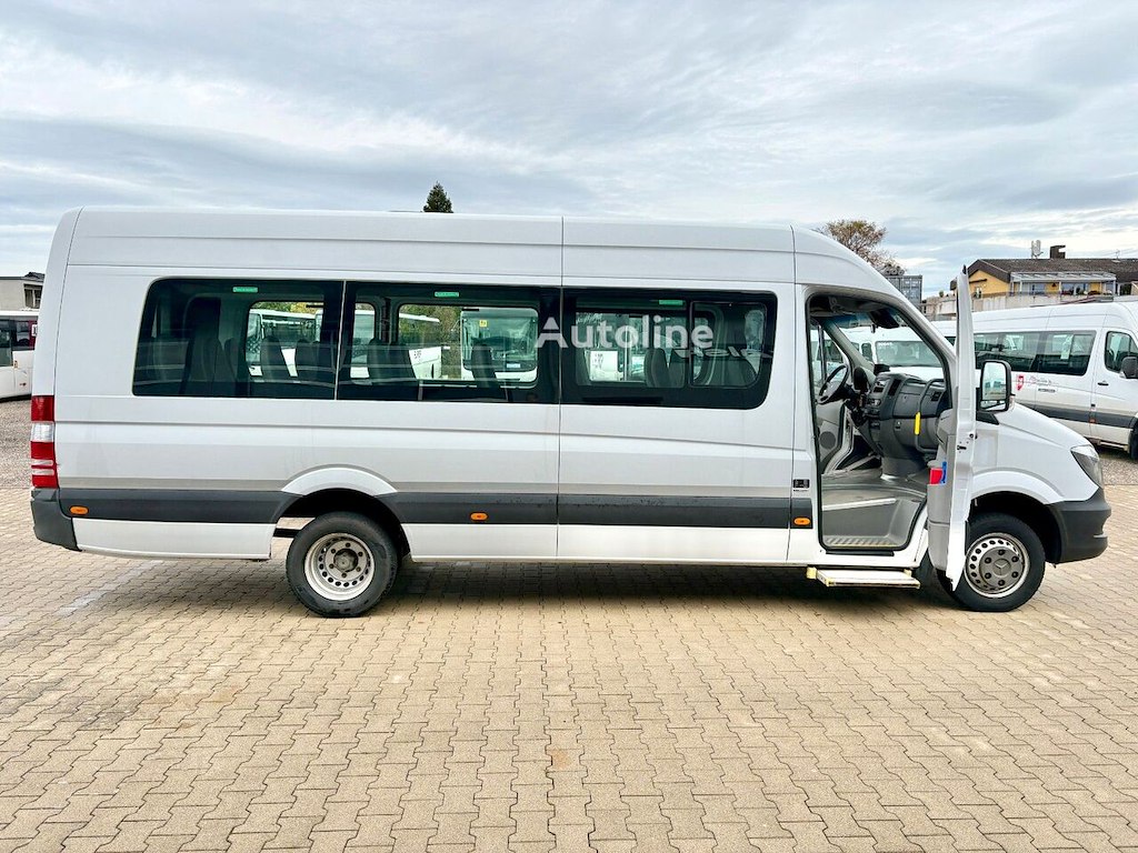 Mercedes-Benz Sprinter 516 CDI, (513,519) putnički minibus