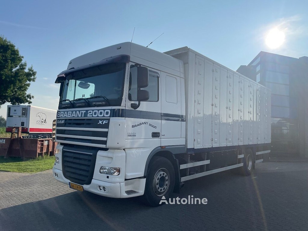 DAF XF105.460 kamion furgon