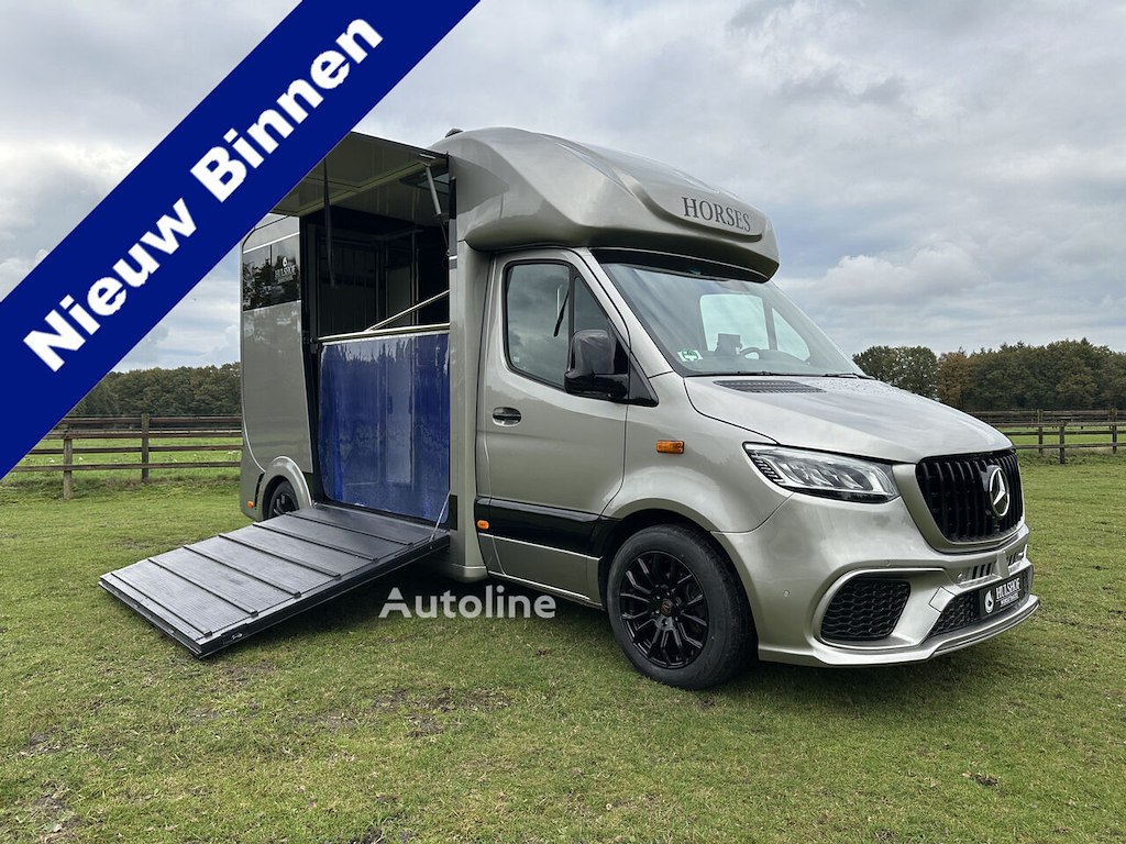 Mercedes-Benz Sprinter 315 AMG 2-paards paardenvrachtwagen vozilo za prevoz konja