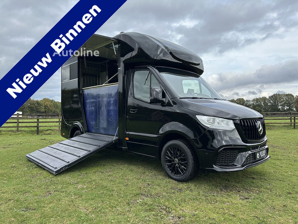 Mercedes-Benz Sprinter 317 AMG 2-paards paardenvrachtwagen vozilo za prevoz konja
