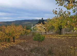 Prodaja Građevinsko zemljište - Beograd, Grocka: Boleč - Zaklopača - Ritopek